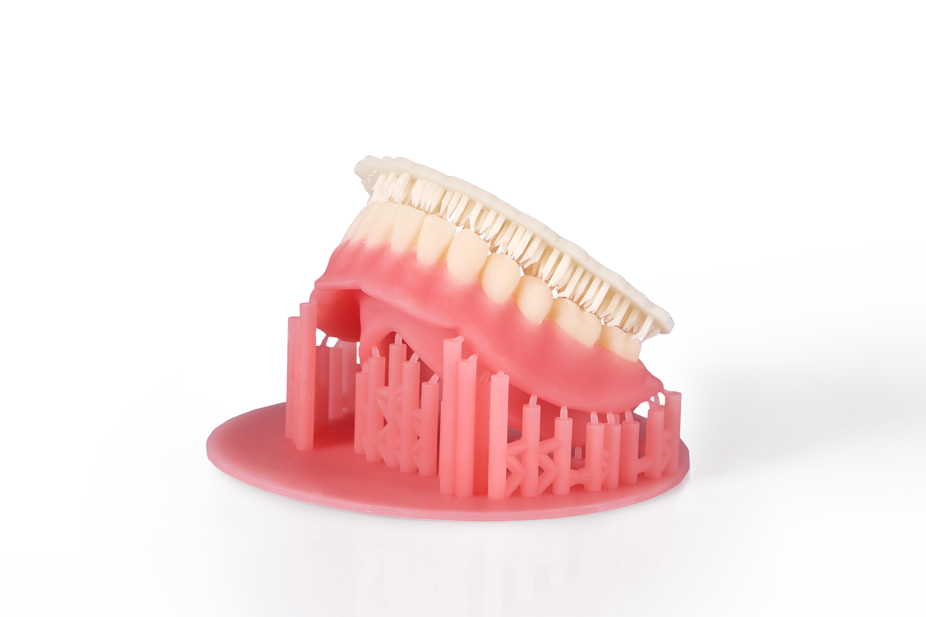 EVO Fusion Digital Dentures - Modern Dental Lab Canada